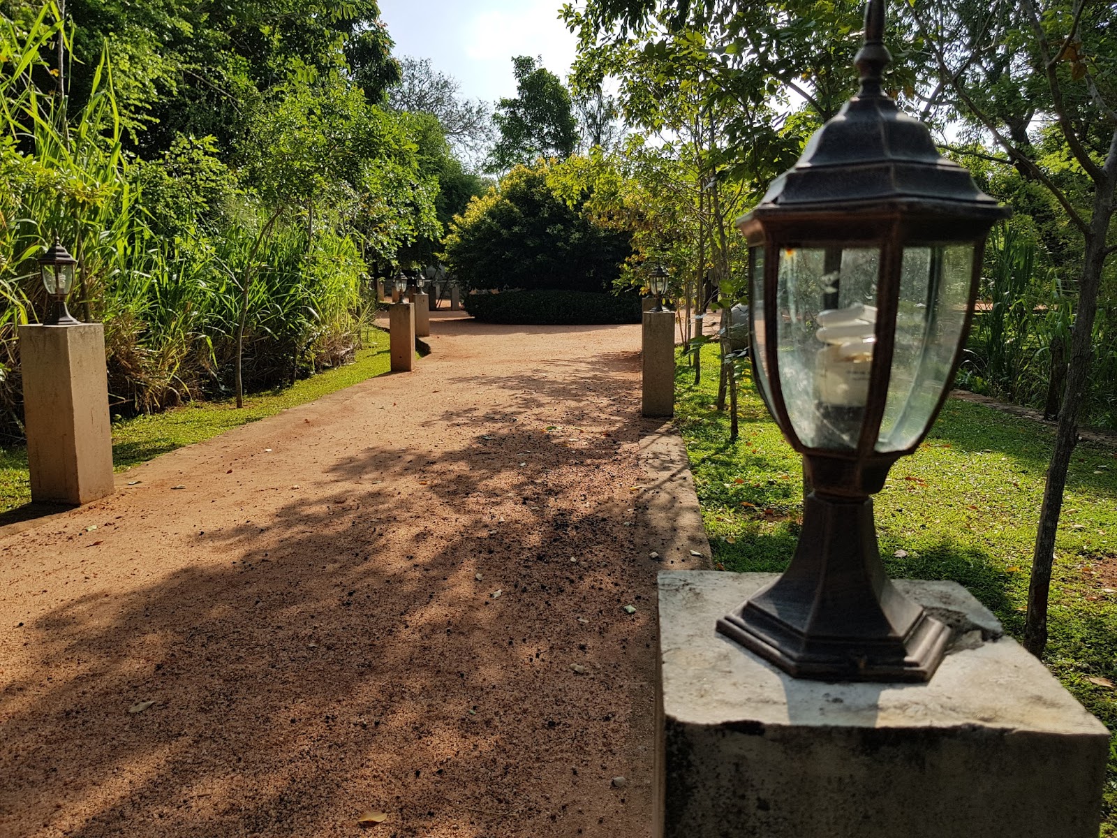 Outing to Amaara Forest Hotel Sigiriya and Maalu Maalu Resort & Spa ...