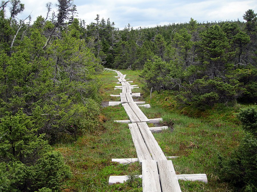 Hiking in the White Mountains: Racing the Weather: Carter Range and ...
