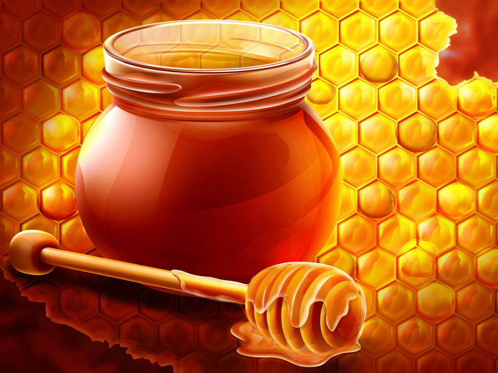 Madu Asli 100% Pure Honey: Macam-Macam MADU ASLI di Indonesia