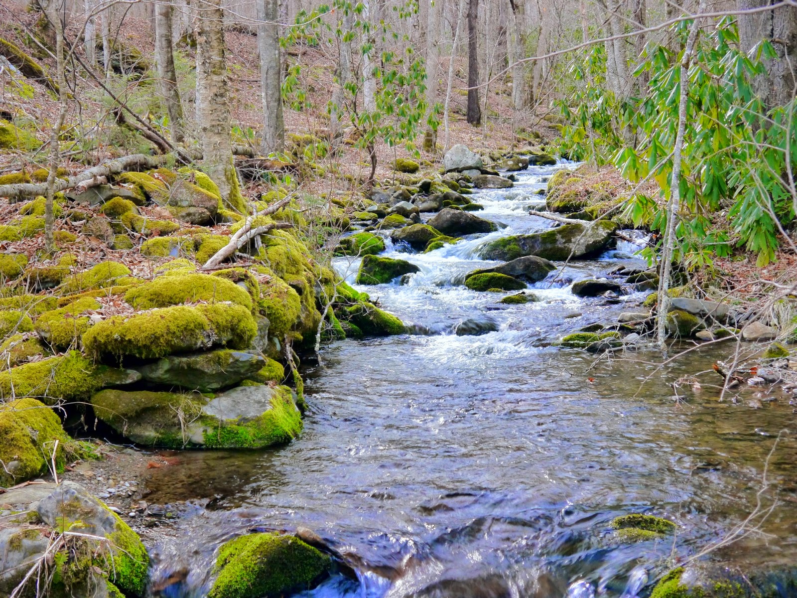 American Travel Journal: Little Cataloochee Church - Great Smoky ...