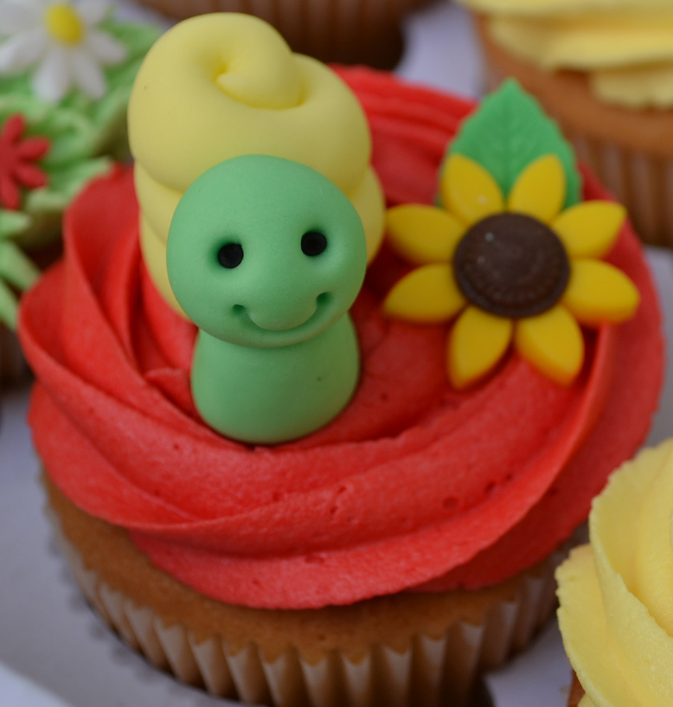 Little Paper Cakes: Garden Party themed Insect Cupcakes