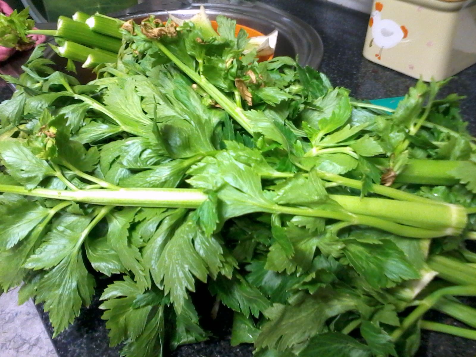 RECETAS ROSALINDA: HOJAS DE APIO EN TEMPURA