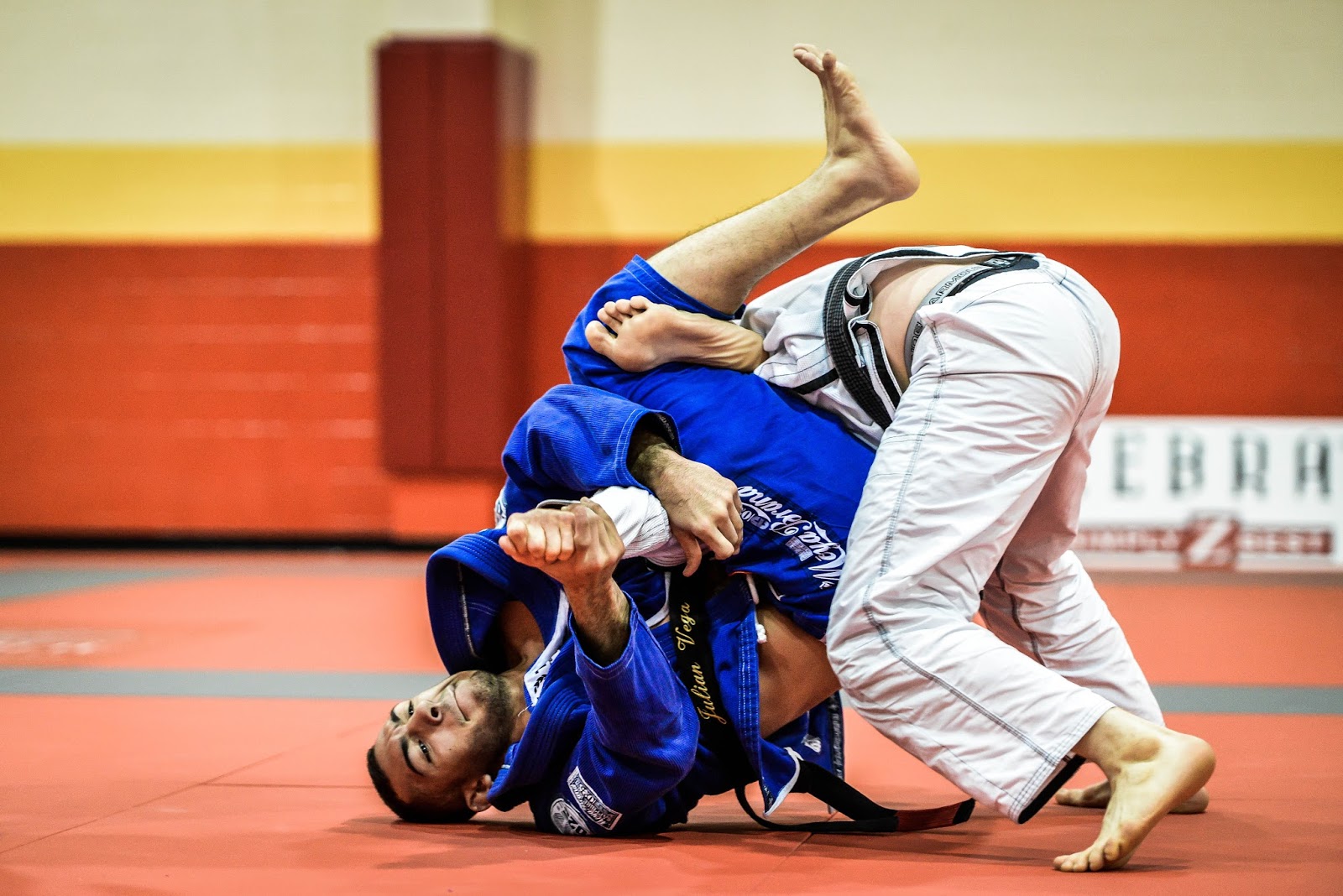 Preguntas Frecuentes en BJJ