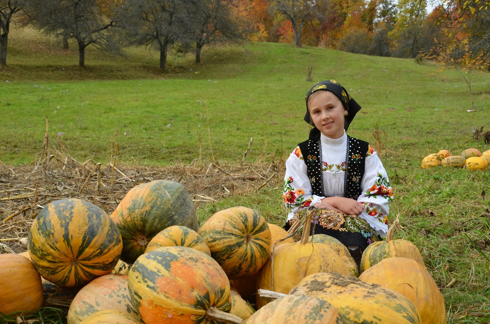 TUDOR PHOTO BLOG: Toamna in Maramures,Autumn in Maramures,Romania,Europe