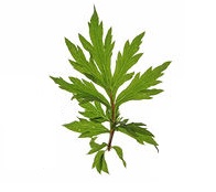 Health Benefits of Hilbas