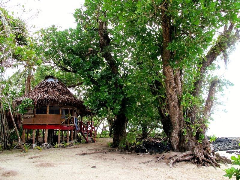 Coconut Radio: Samoan fale: The world's happiest place to stay