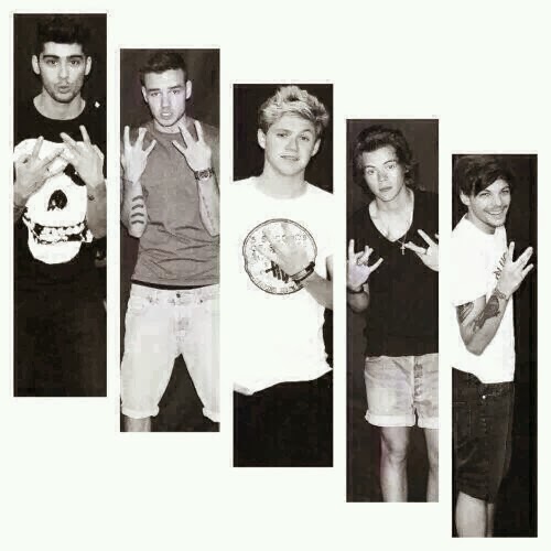 One Direction (Directioners)