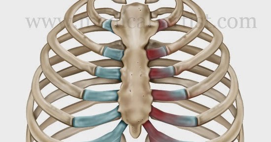 MMPress: RELACIÓN ENTRE COSTOCONDRITIS Y FIBROMIALGIA