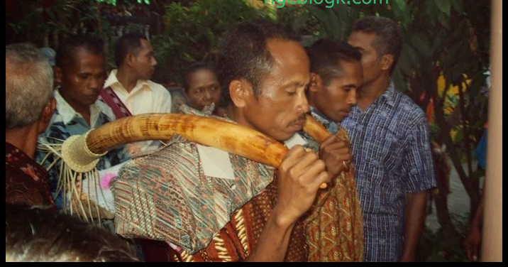Adat istiadat gading gajah di Sikka NTT | Wisata NTT dan Nasional