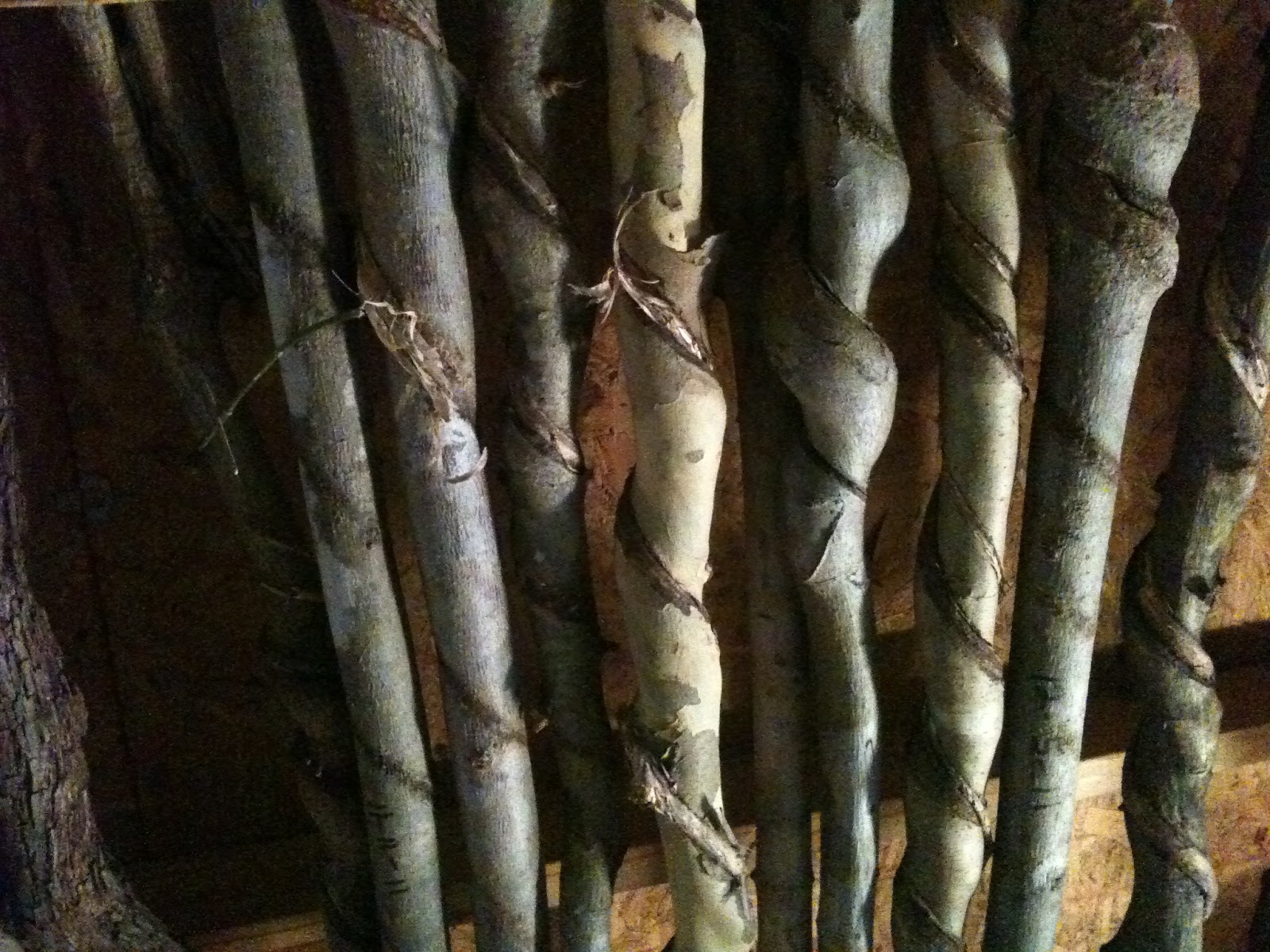 John Carlin's Virginia: Twisted Sticks