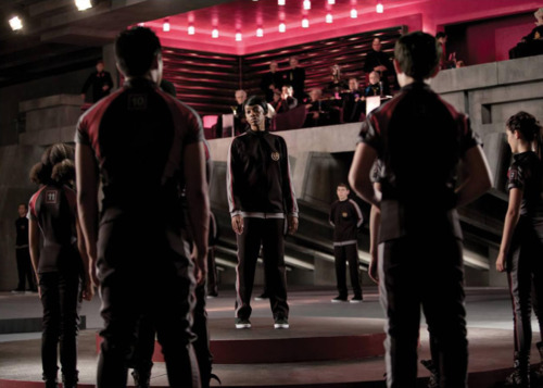 The Hunger Games Training Center