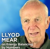 The Self Directed Income (SDI) Eye Opener: Lloyd Mear and Frequency Healing