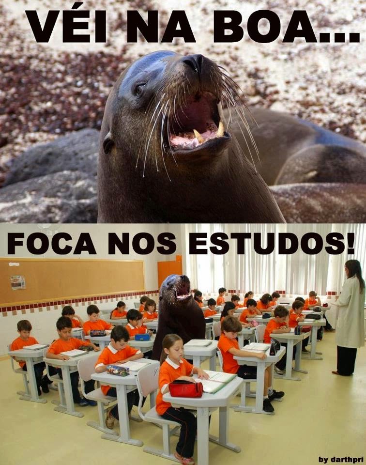 EGRÉGIA LEI...: FOCA NOS ESTUDOS