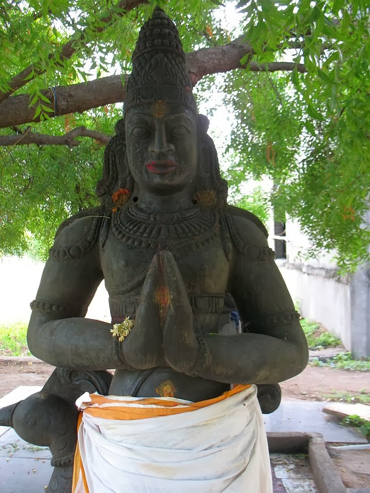 There is a Crow in my Garden - ARUNACHALA BIRDS