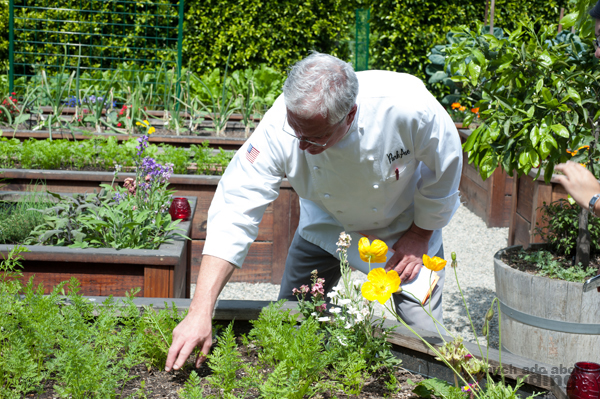 Meet Chef David Slay of Park Ave and il garage | Much Ado About Fooding