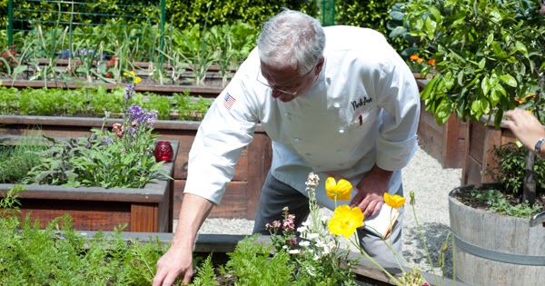 Meet Chef David Slay of Park Ave and il garage | Much Ado About Fooding