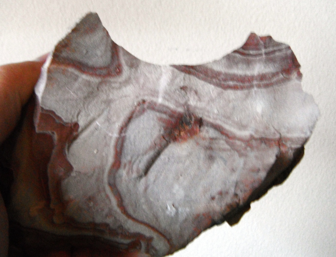 Rockhounding the Rockies: NM Trip: Rhyolite