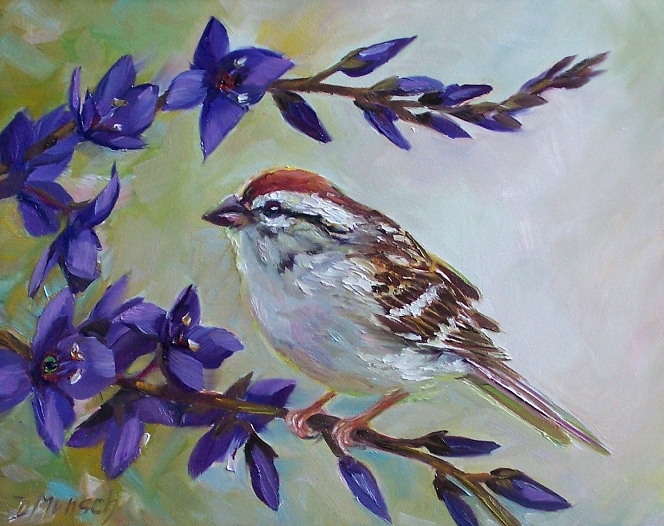 Donna Munsch Fine Art: Original Oil Painting Sparrow