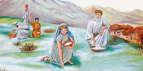 Símbolos, Mitos y Arquetipos: El mana y el maná, símbolos universales