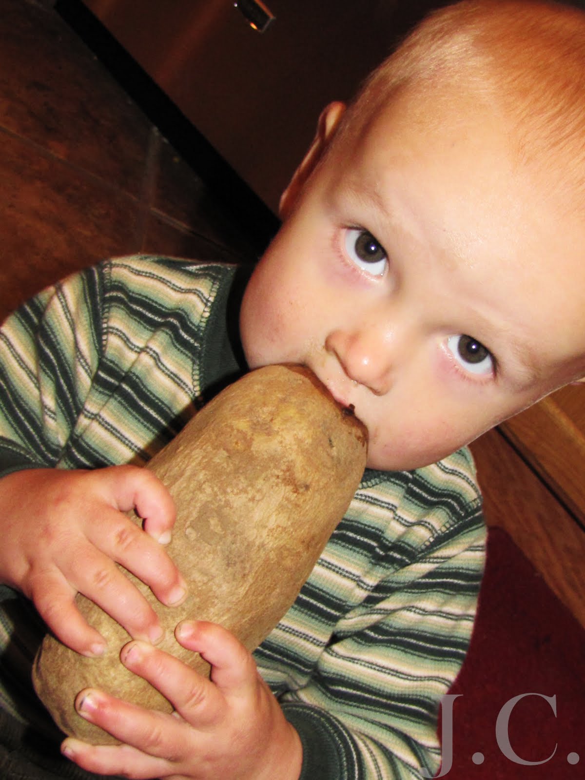 Koch Family News: Potato man