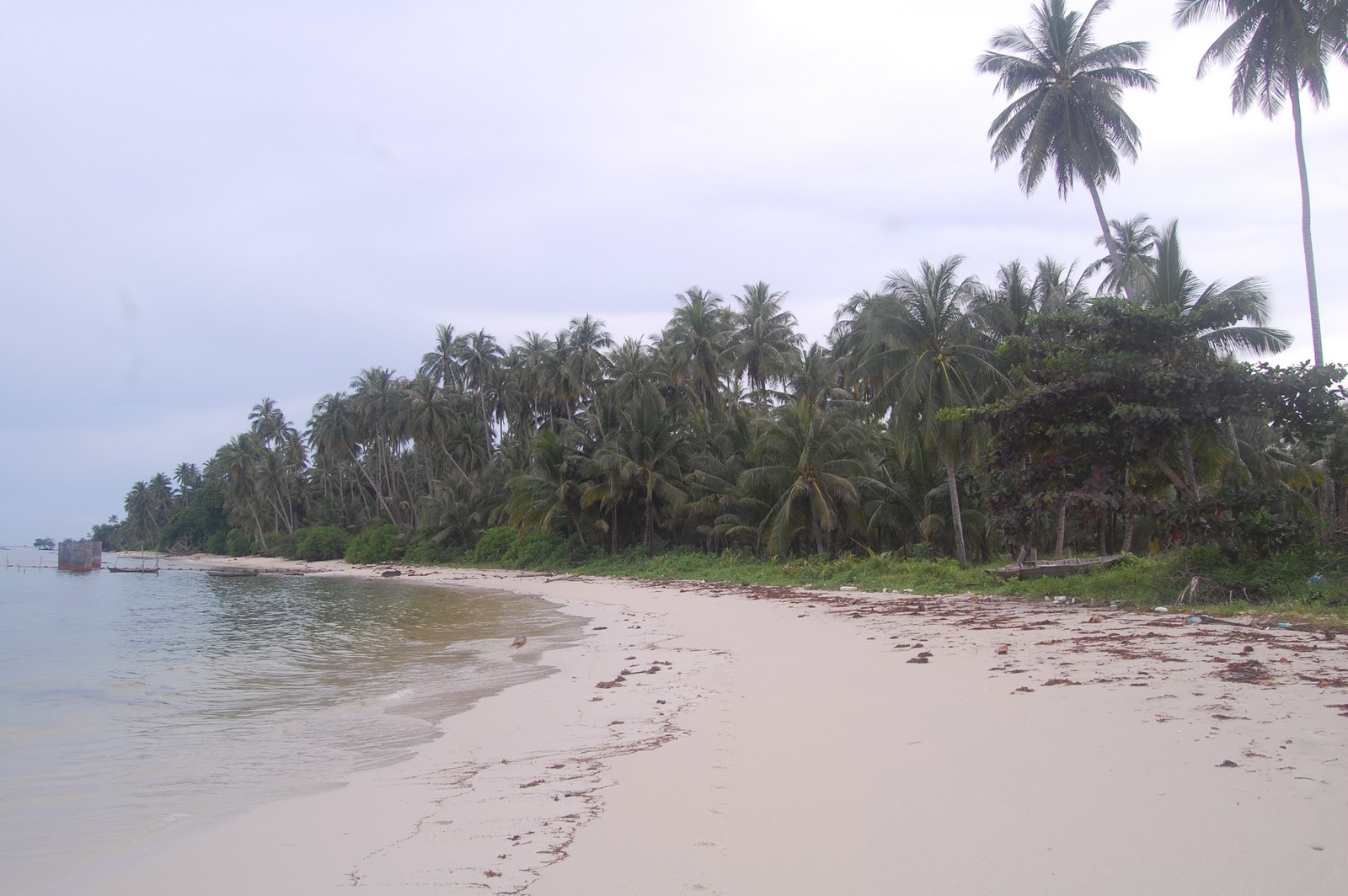 Bintan Kampong Kami: Panglong Village Berakit, Tradional Fisher Man Village