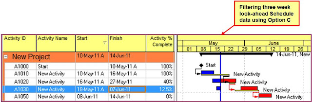 Toolbox4Planning: How to Work with Look-ahead Schedule Using P6