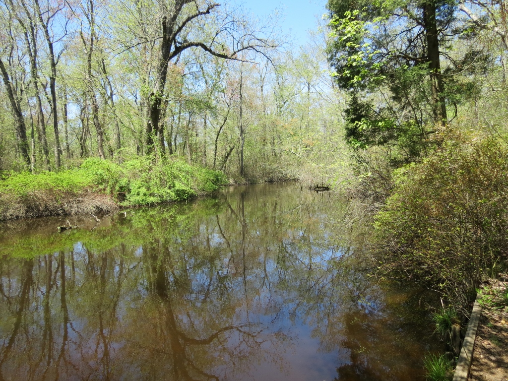 Gone Hikin': Parvin State Park, NJ