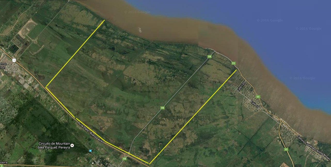 Aves Bonaerenses: Reserva Natural Punta Lara