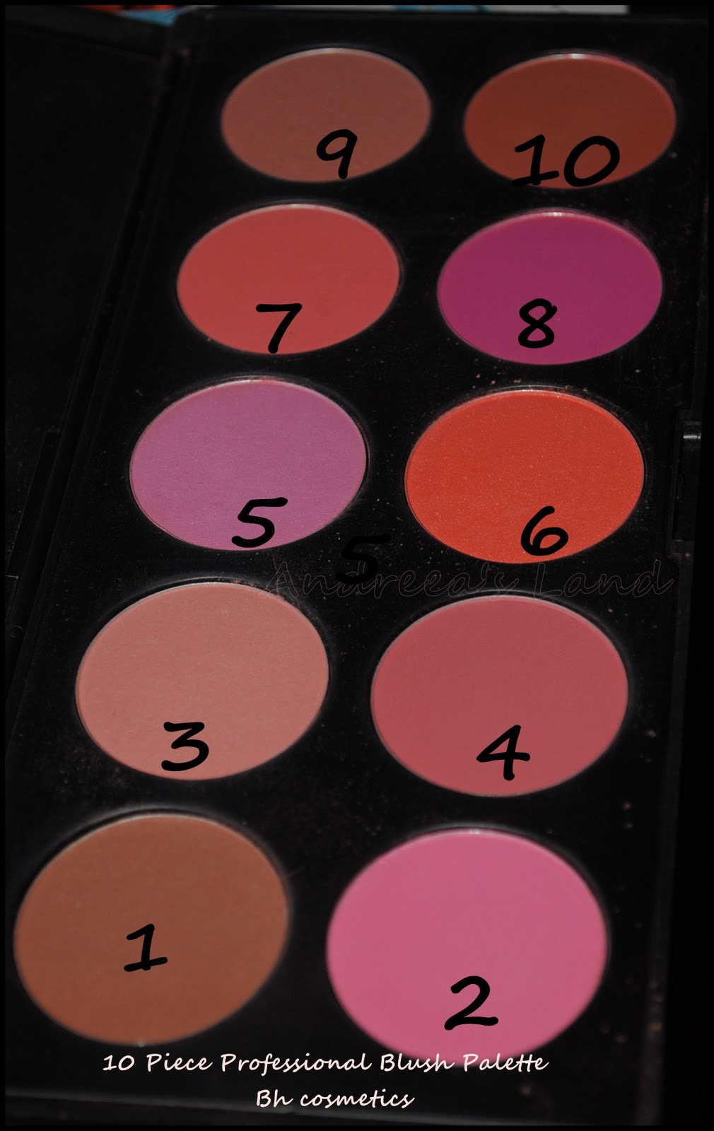 Review&swatches: 10 Piece Professional Blush Palette BHcosmetics ...