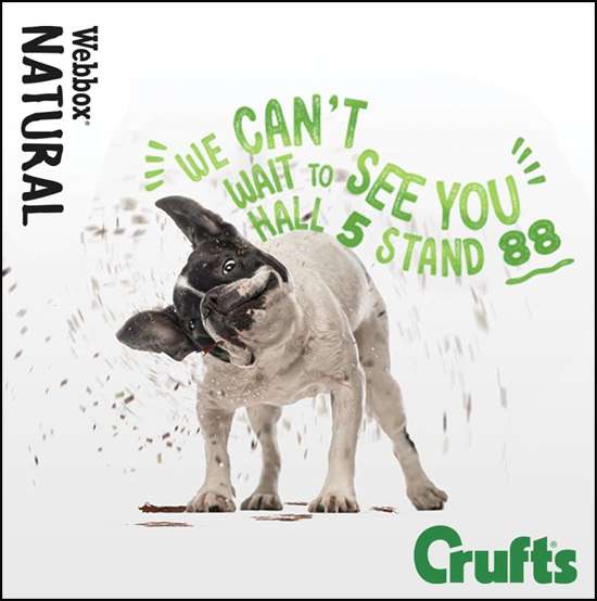 Andy Smith Illustrator Blog: 2017