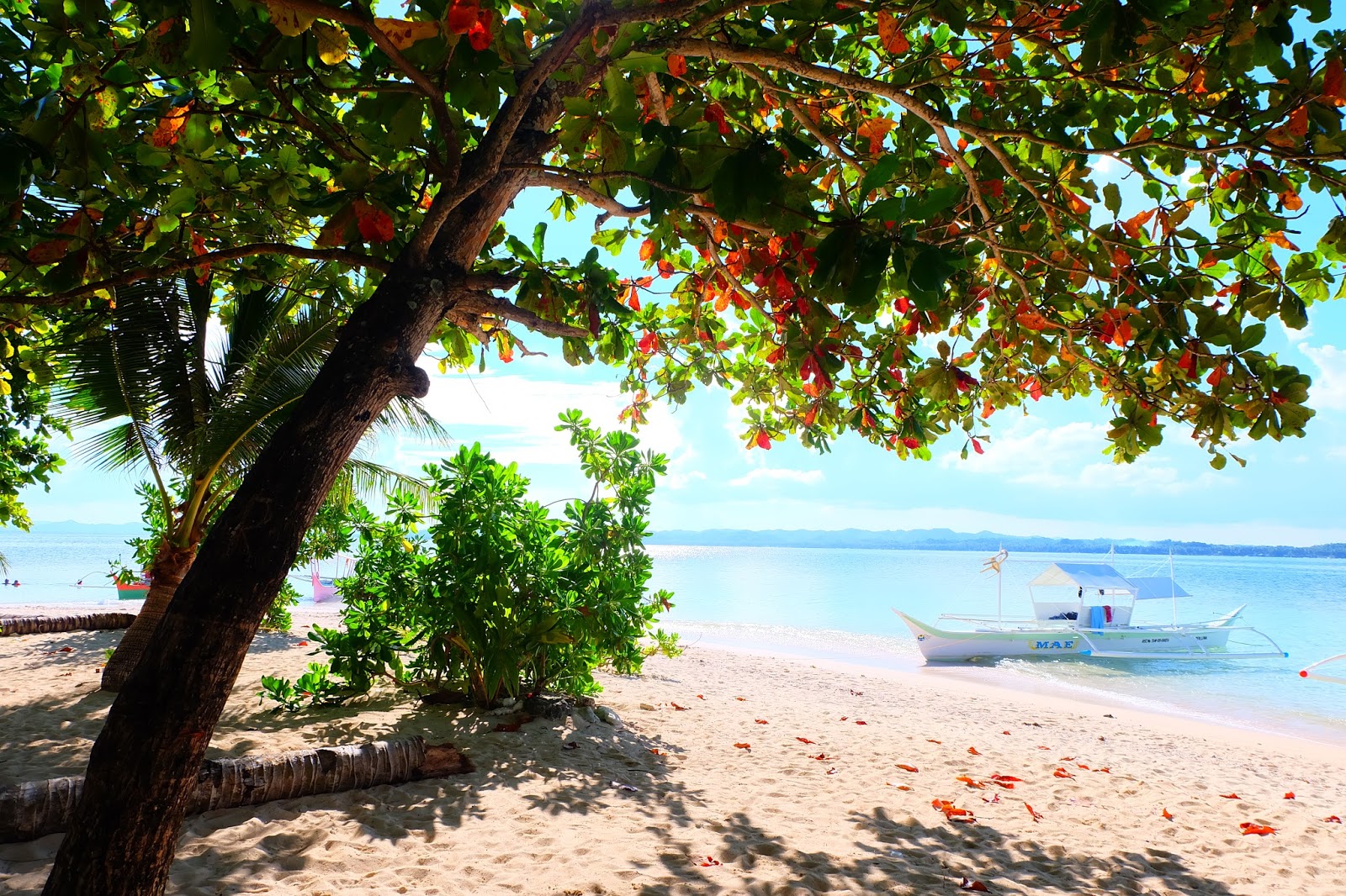 Guyam Island in Siargao - From The Highest Peak to The Deepest Sea