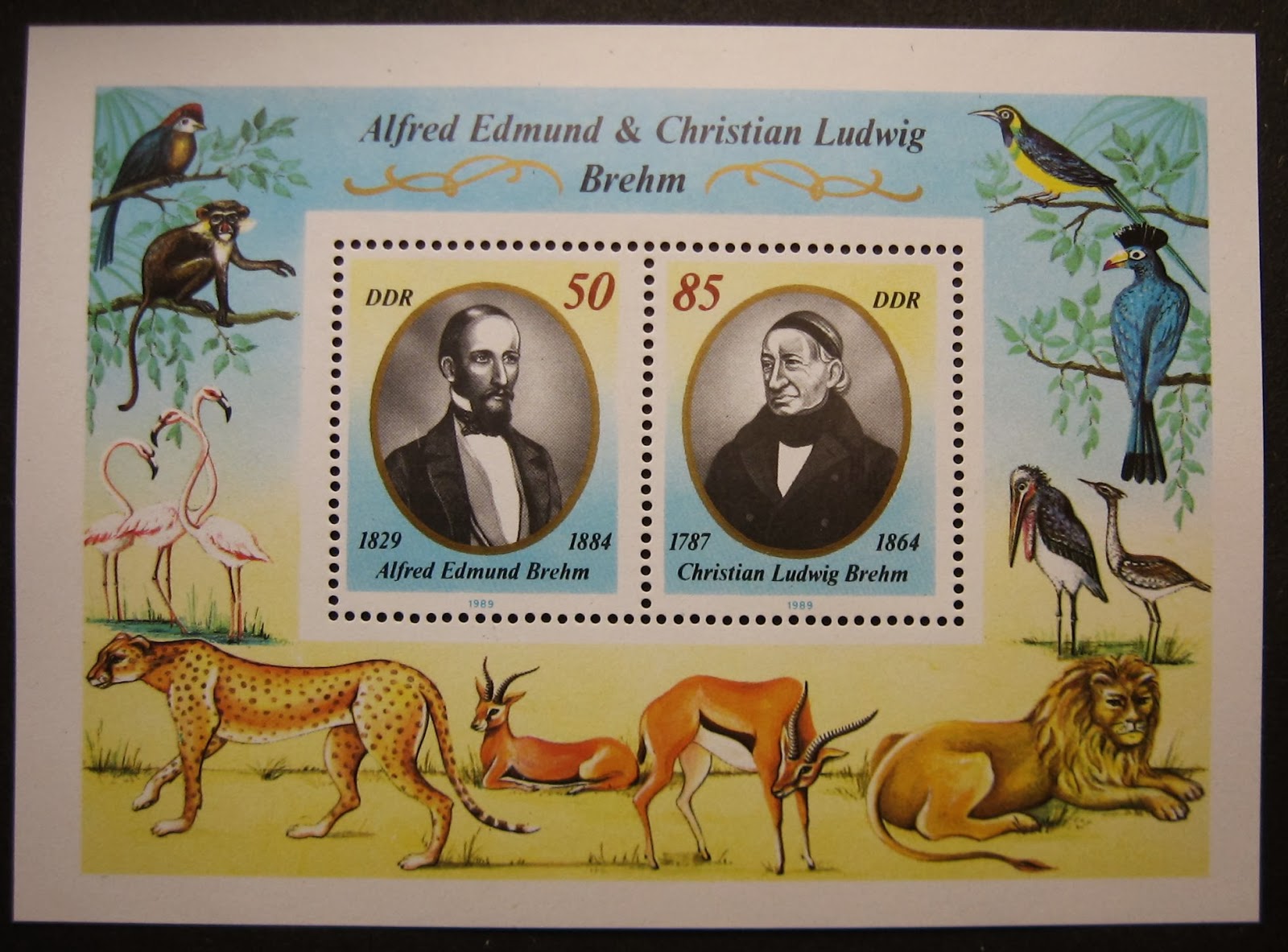 Alfred Brehm : précurseur de l'étude des comportements animaliers