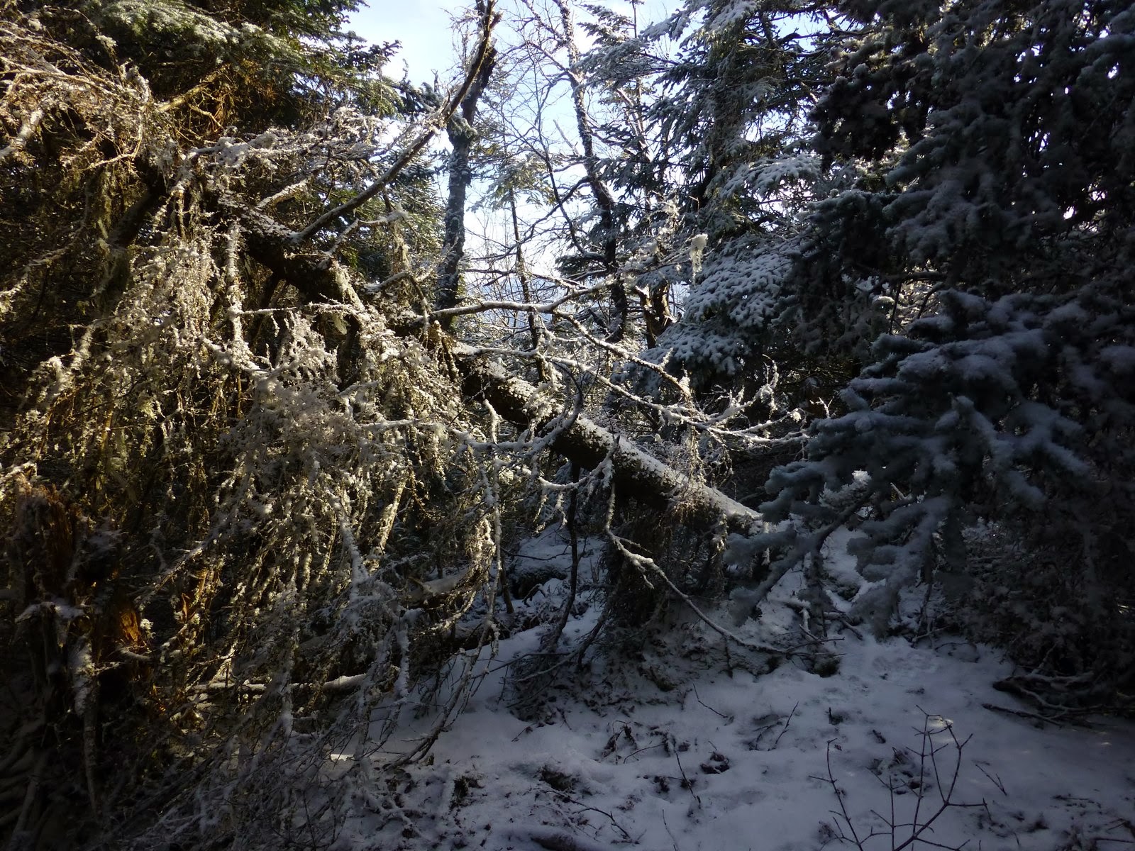 Off on Adventure: Morgan Mountain & Cooper Kiln Pond - Taylor Pond Wild ...