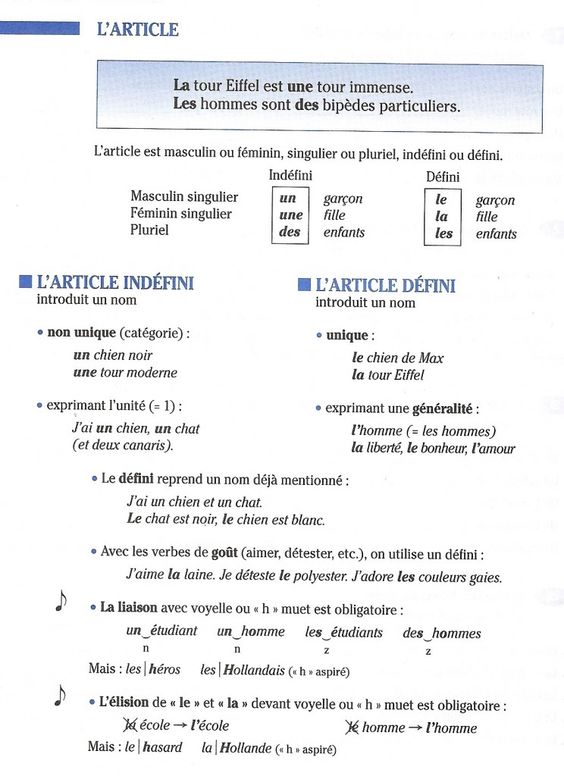 1è Année Monsieur Tableau: L'article défini et indéfini