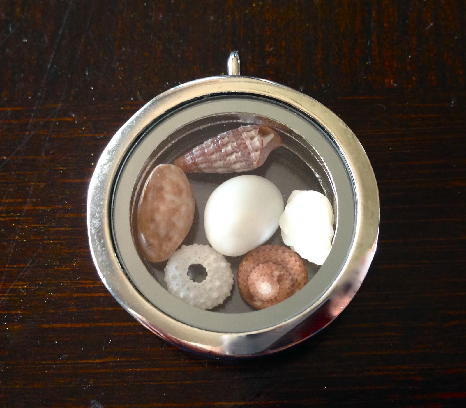 Shells for Sharks