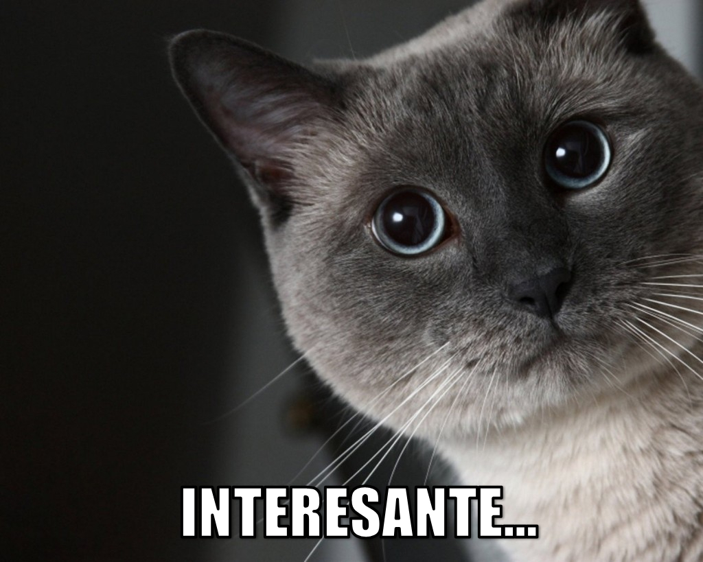 Ideasbeauty: Lo que hacen los gatos cuando nadie los ve...