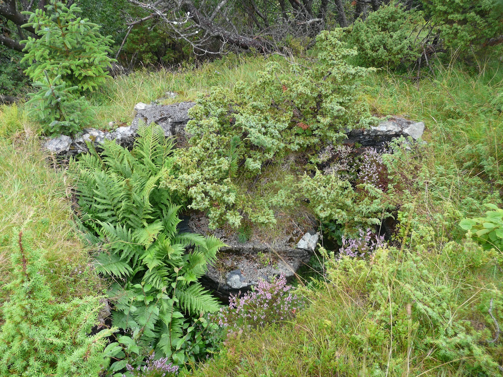 Mr Boot's Axis Blog: Fjell Festning: A Brief Overview 2