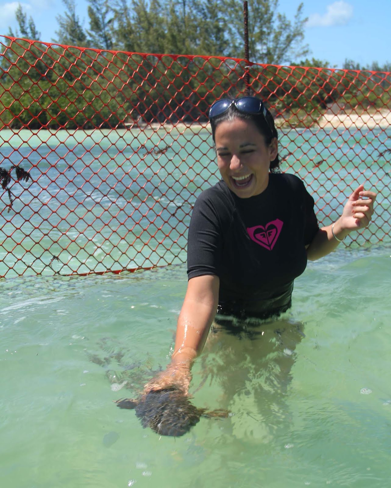 THE ADVENTURES OF SHARK GIRL : I'm a Shark Y'all