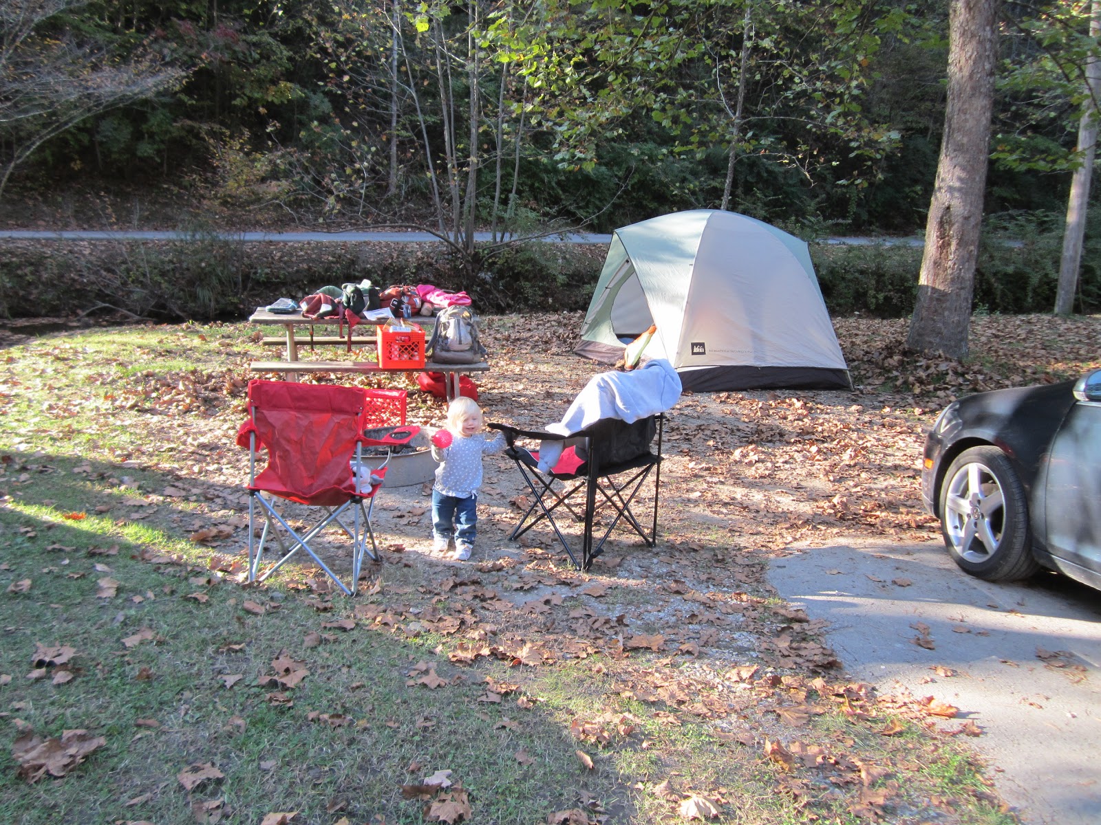 Paradise With A Bite: Red River Gorge Camping Trip