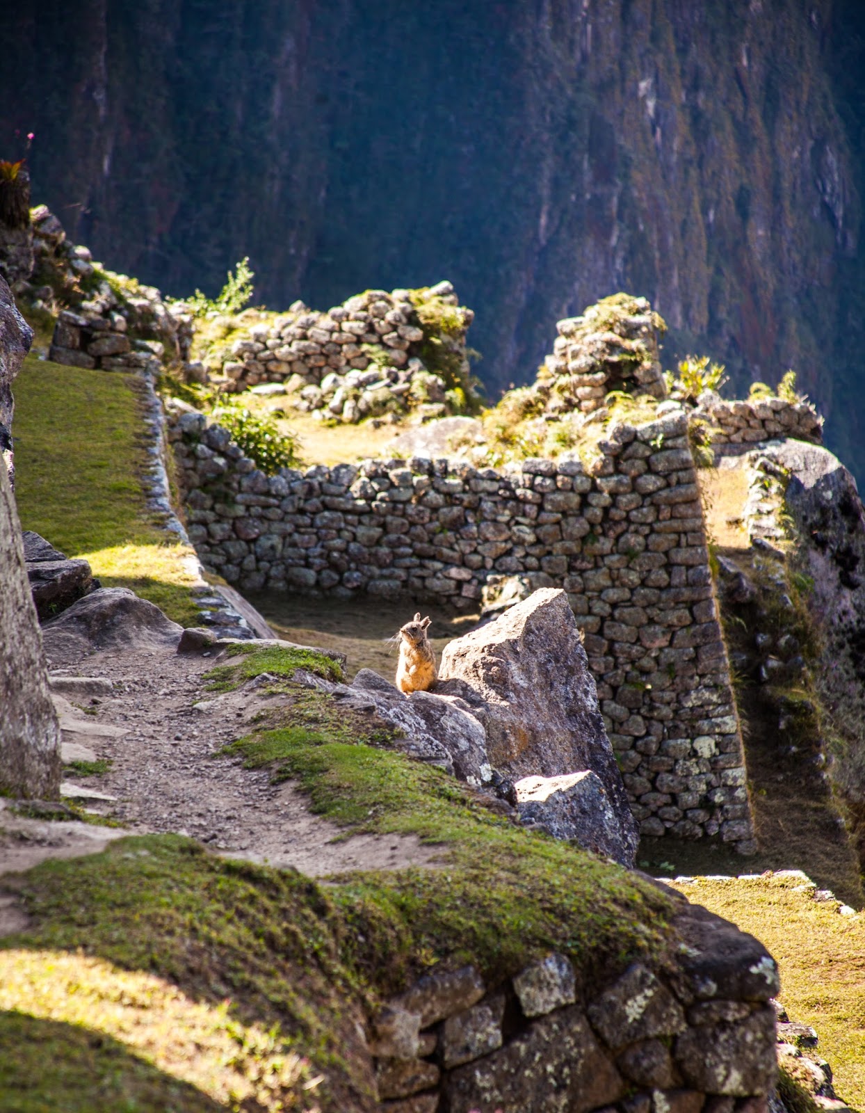 My Musings: Machu Picchu : At Sunset