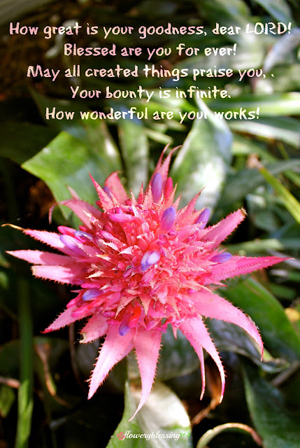 Flowery Blessing: How great is your goodness, dear LORD! Blessed are ...