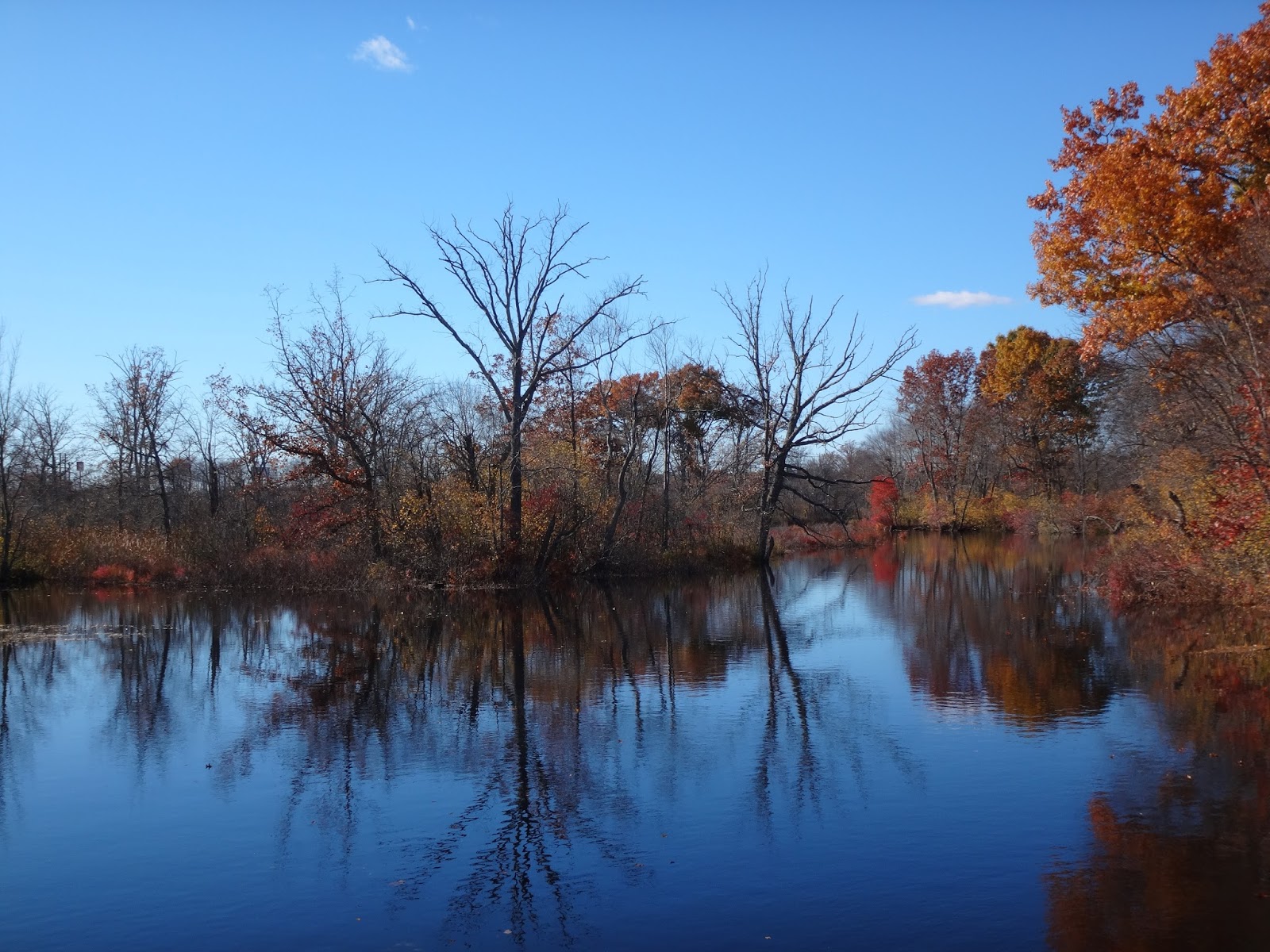double d mountain runner: Methuen rail trail and Nevins bird sanctuary