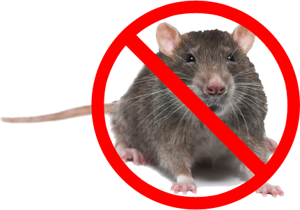 Two Men and a Little Farm: AND THE SAGA CONTINUES