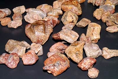 On the Road with Maya: Fairies, Legends, Crystals and Leaves