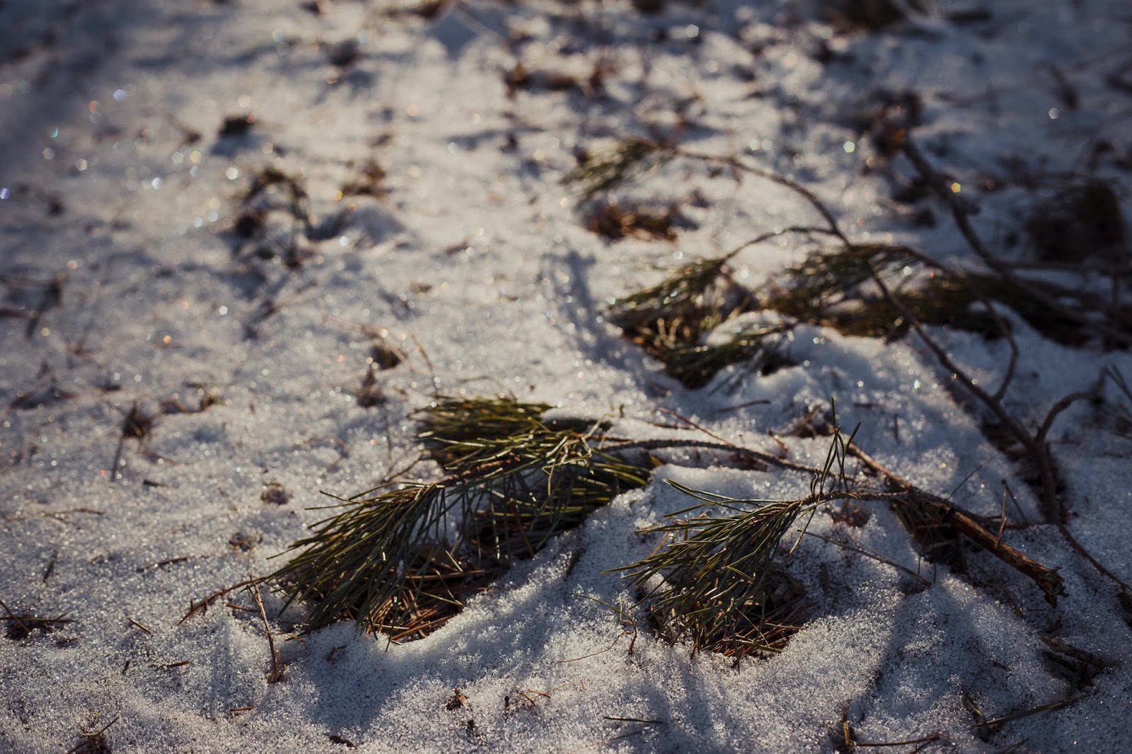 Gauja ietek jūrā || Idejas brīvdienām - Sandija Veipa
