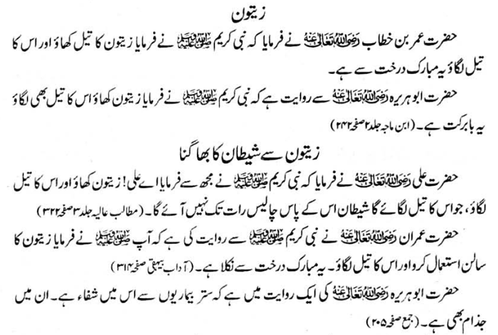 Islam the Right Path: The Importance of Zaitoon and its Oil