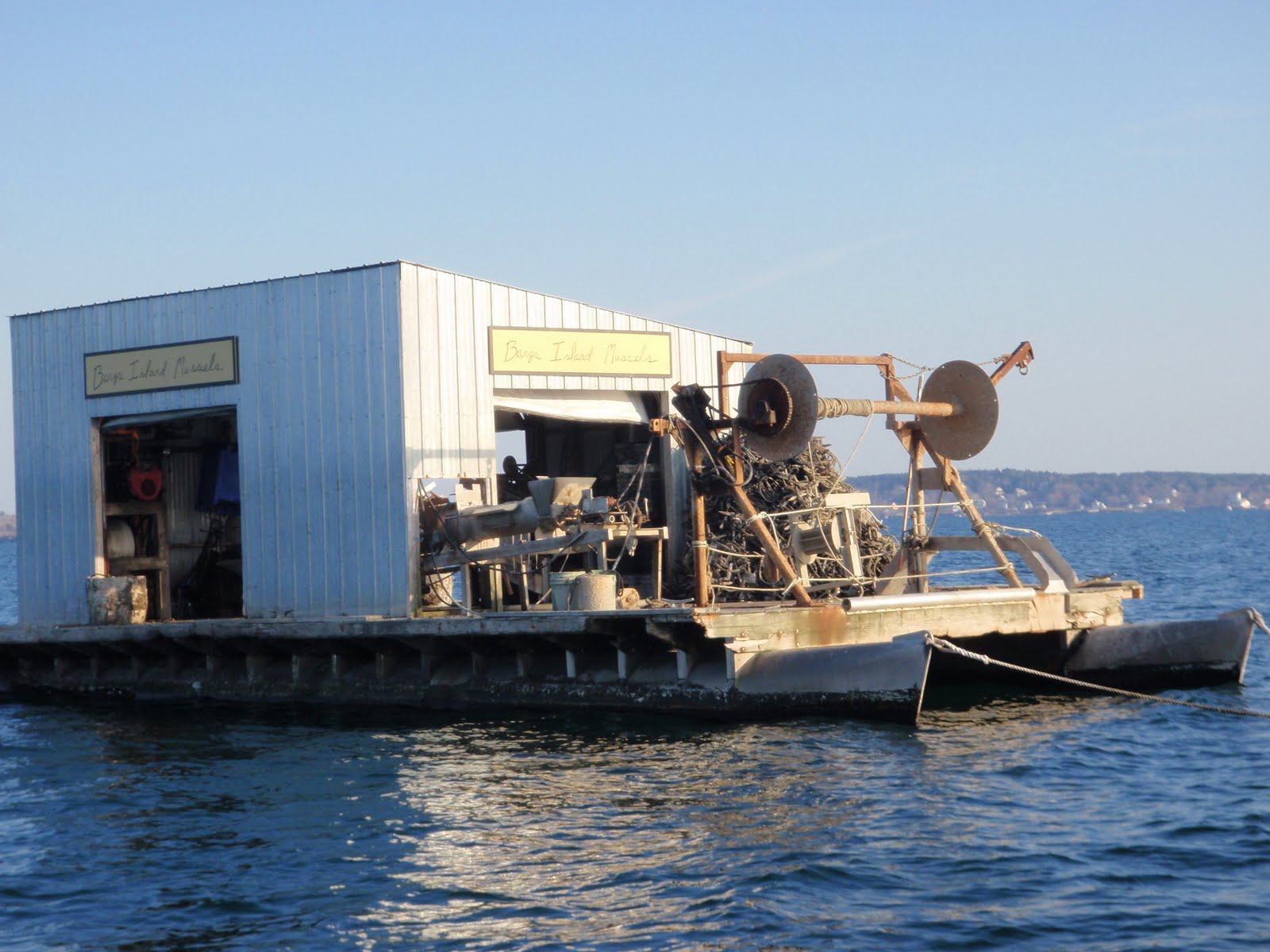 Solid Hookups: Q&A: Bangs Island Mussels