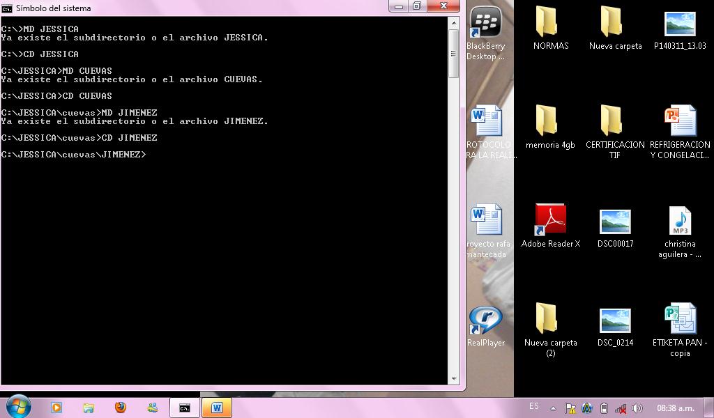 INFORMATICA: SIMBOLO DEL SISTEMA