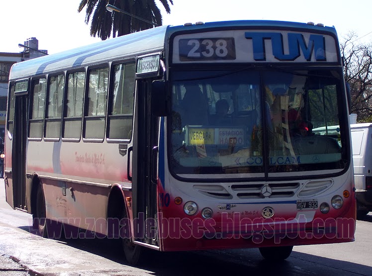 Colectibus - Zona de Buses: LINEA 238
