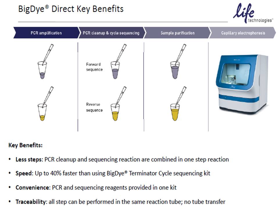 Sequencing Experiences for Life: Introduzindo o BigDye Direct Cycle ...